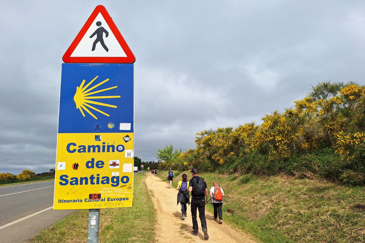 Normativa albergues Camino Santiago: Descubre lo esencial y necesario